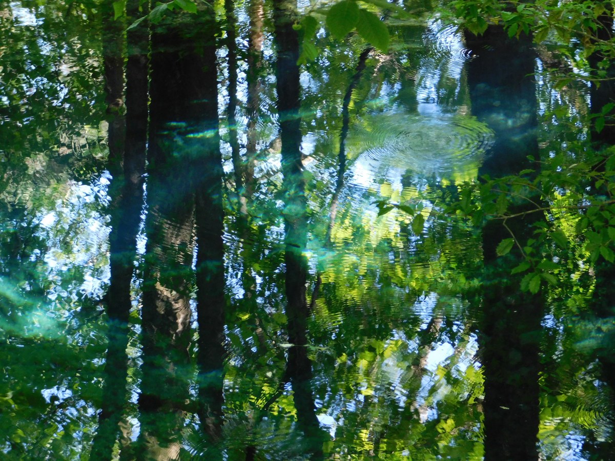 Red Clay Rising – andréana elise: poetry & prose